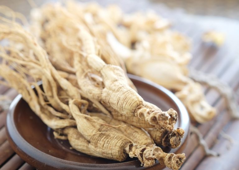 Les différentes variétés du Ginseng